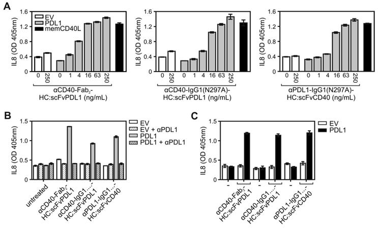 CD40- and 41BB-specific antibody fusion proteins with PDL1 blockade ...