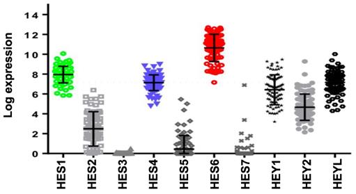 Recent advances in understanding the role of HES6 in cancers