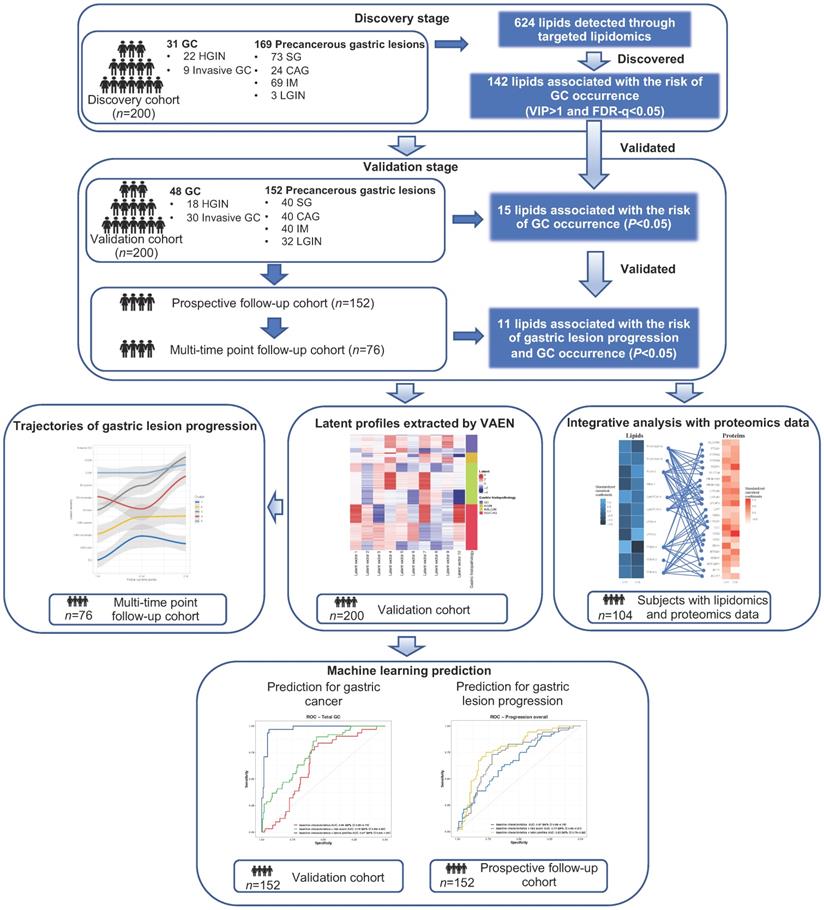 Plasma lipids signify the progression of precancerous gastric lesions ...