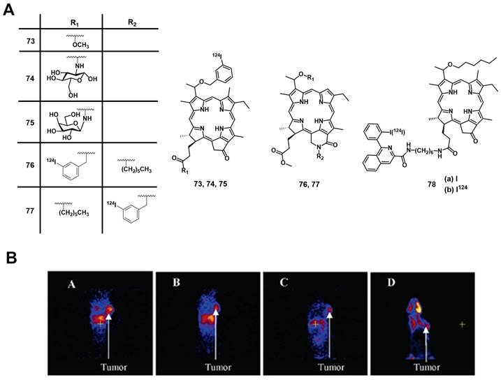 Theranostics with photodynamic therapy for personalized medicine: to ...