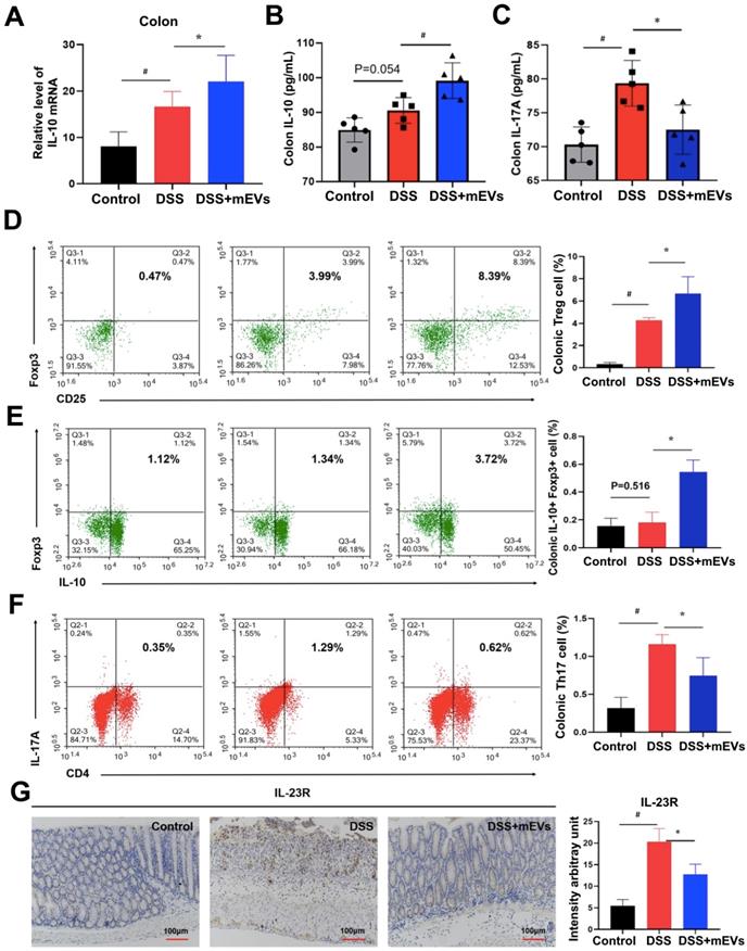 Milk-derived extracellular vesicles alleviate ulcerative colitis by ...